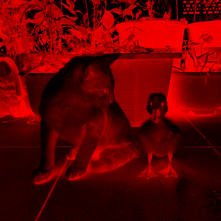 How to invert an image in a shader – Agate DRAGON Games