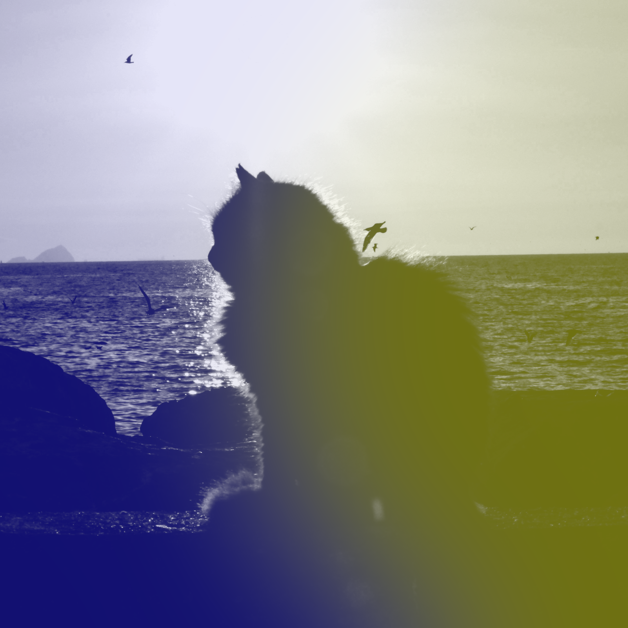 Creating a duotone circle effect in GIMP – Agate DRAGON Games
