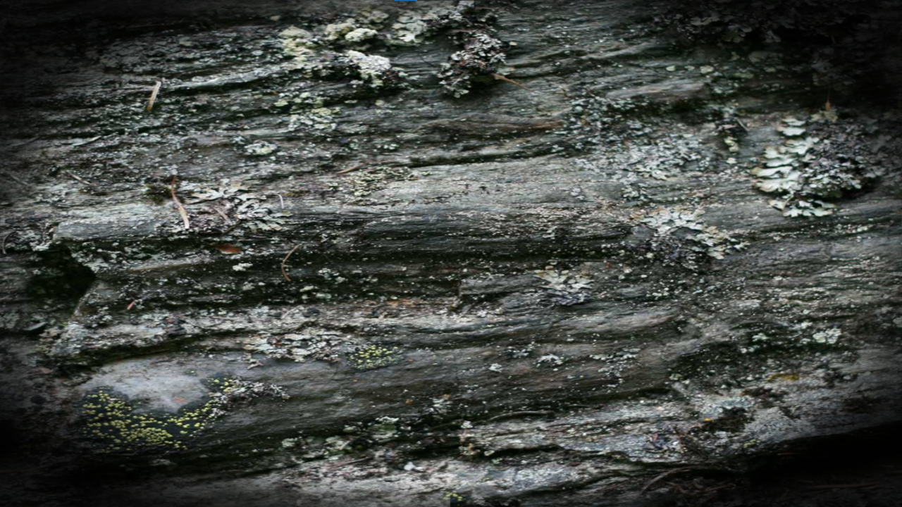 Creating a simple vignette in Shadertoy – Agate DRAGON Games