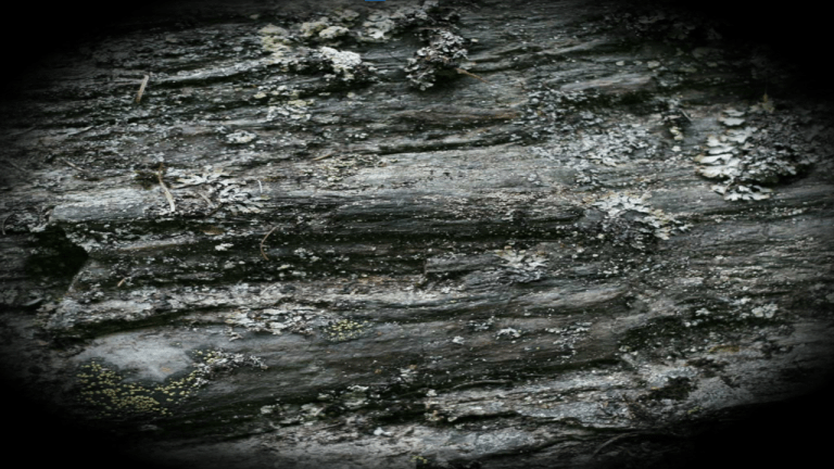 Shadertoy – Agate DRAGON Games