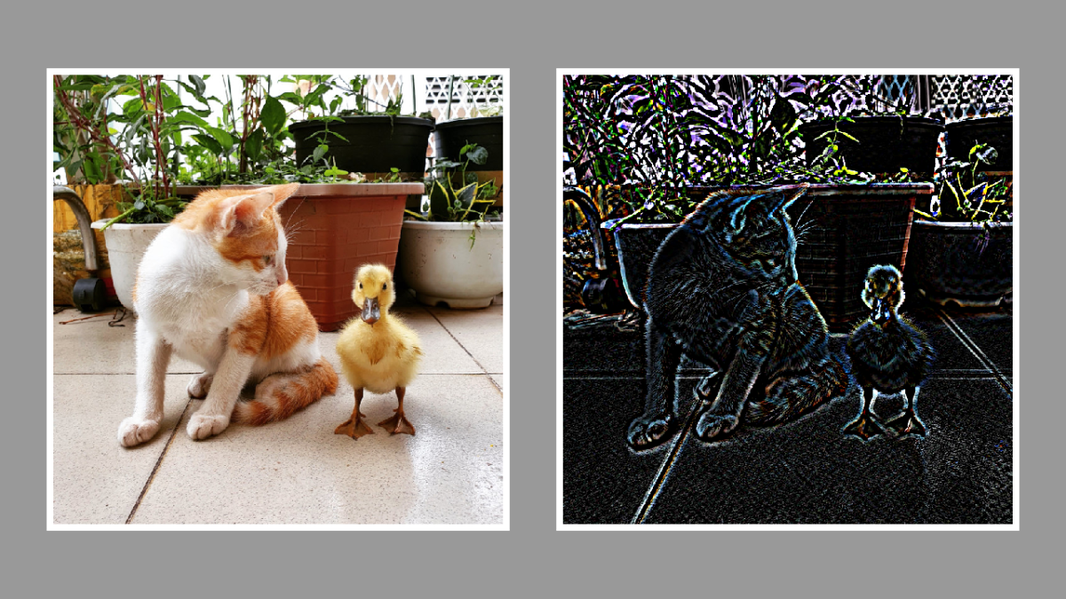 Simple edge detection shader using a kernel – Agate DRAGON Games